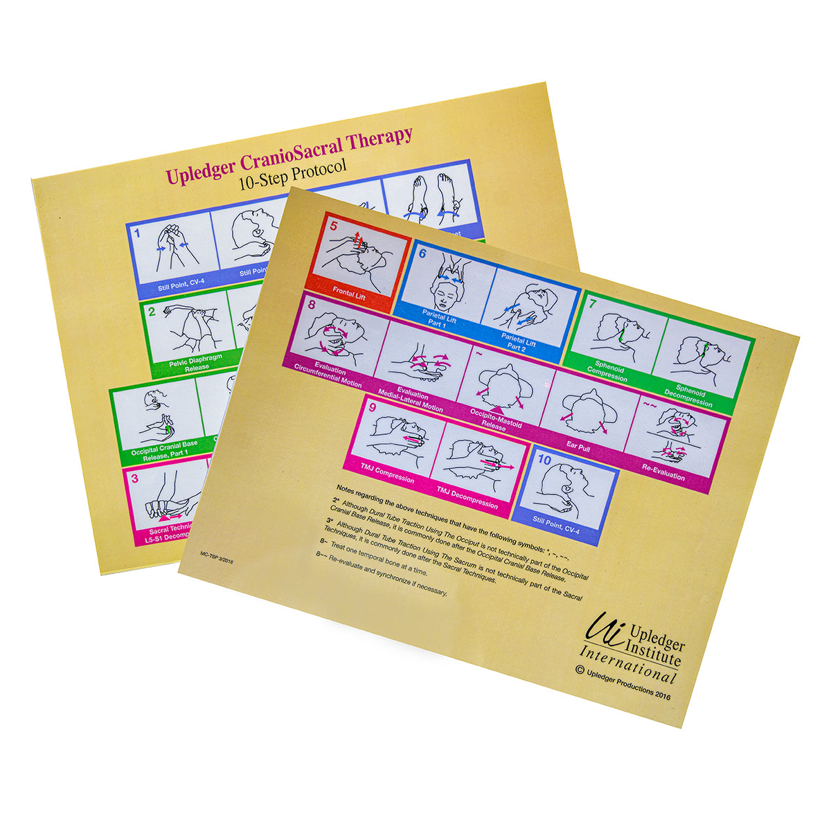 10-Step Protocol Mini Chart – Evolve Manual Therapy Store